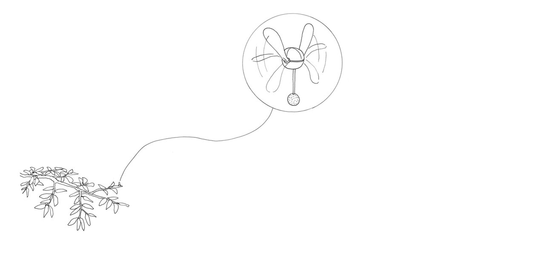 Meet the Flying Helpers | IDEO.org
