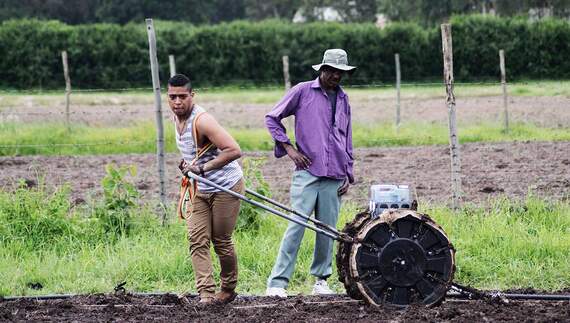 Teff Seed Planter | Project | IDEO.org