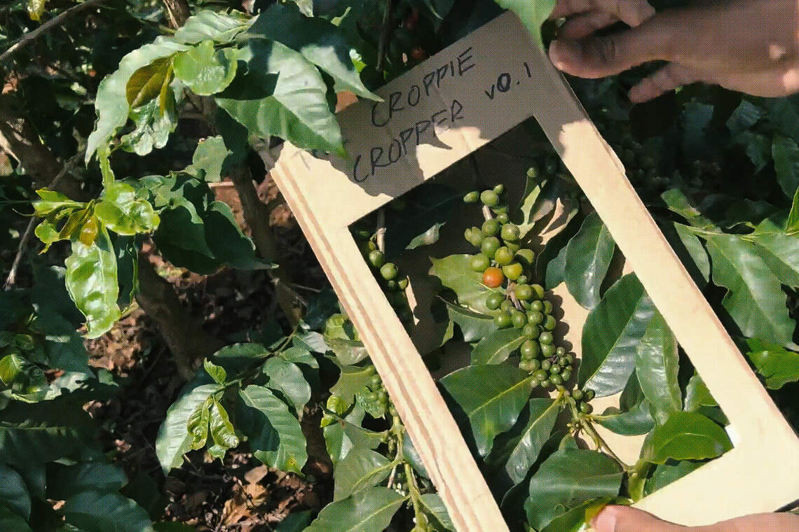 Croppie | Project | IDEO.org