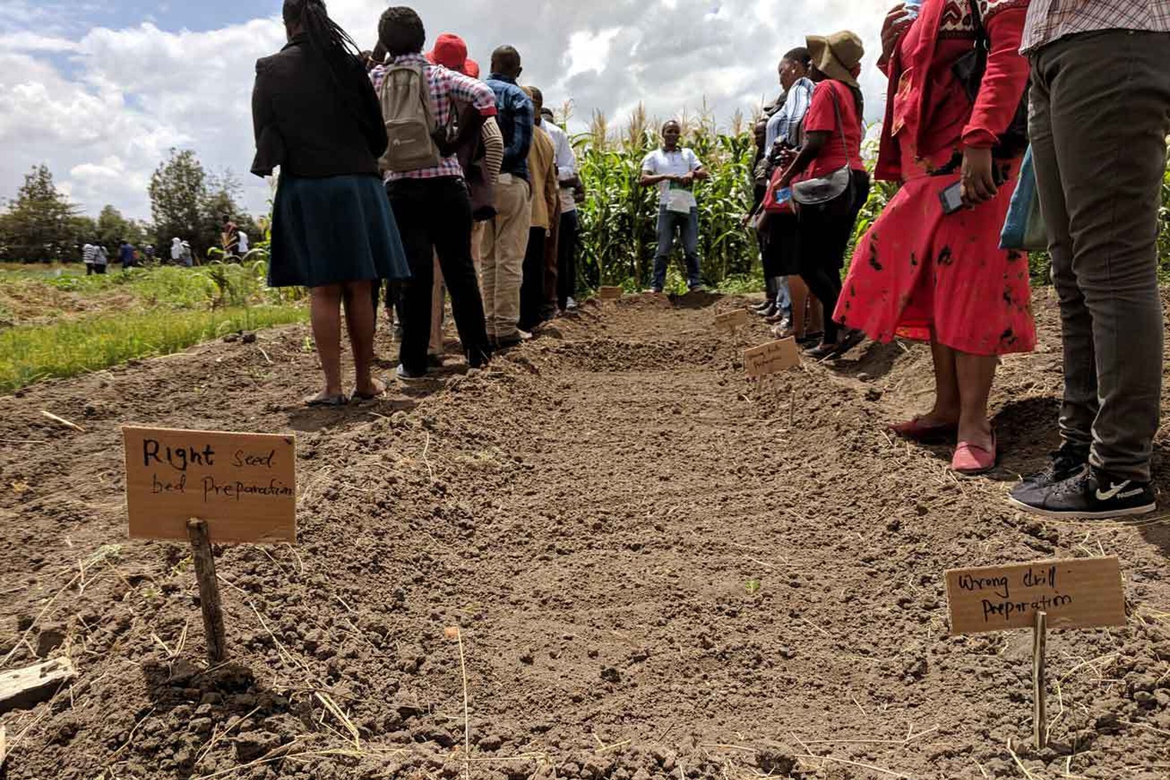 One Million Stories of Impact | IDEO.org