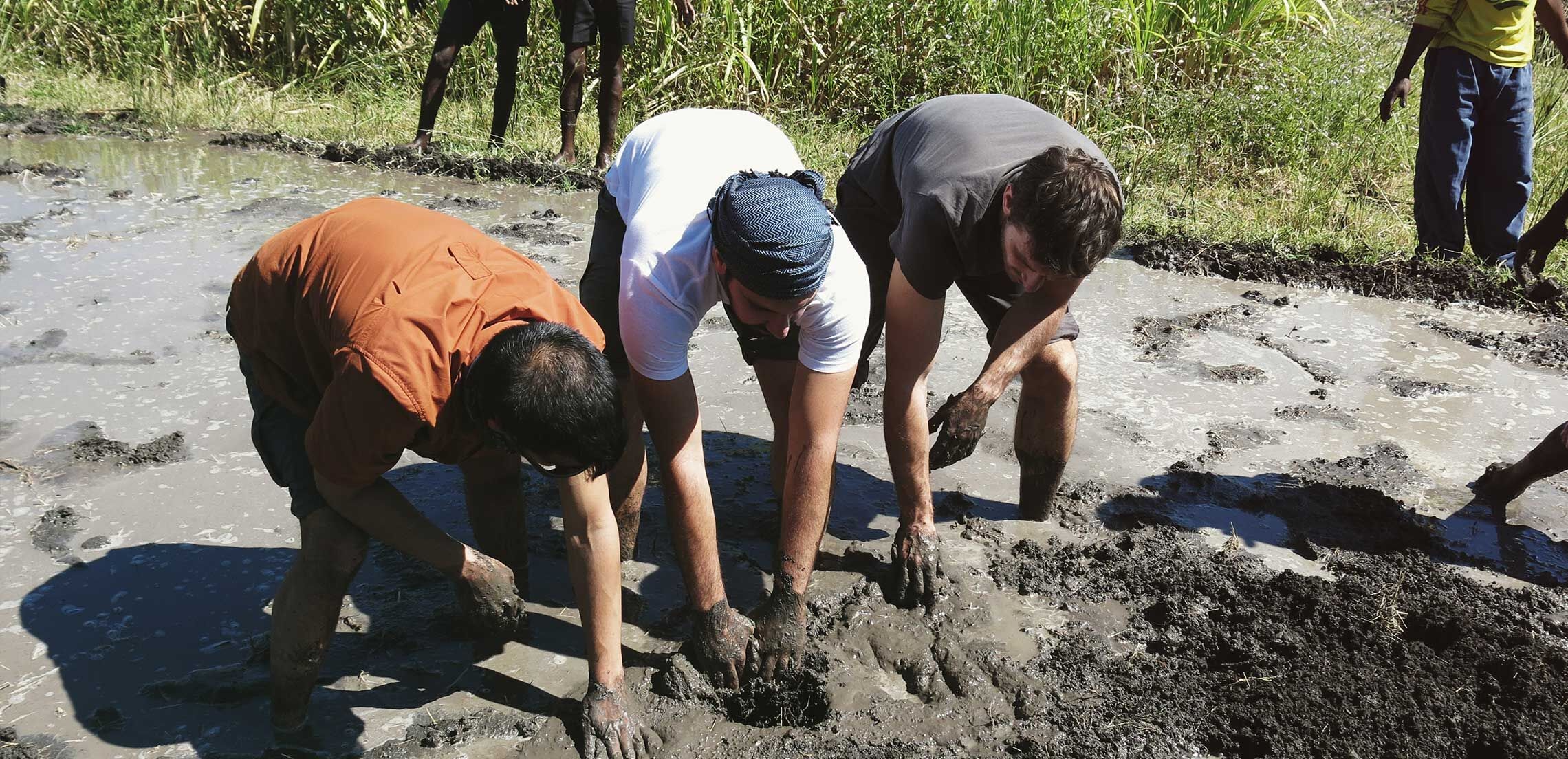 Teff Seed Planter | Project | IDEO.org