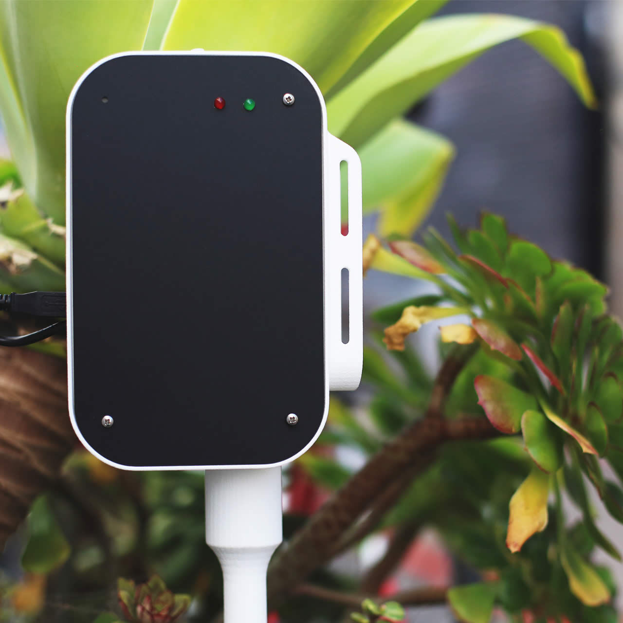 Future Sense | Project | IDEO.org