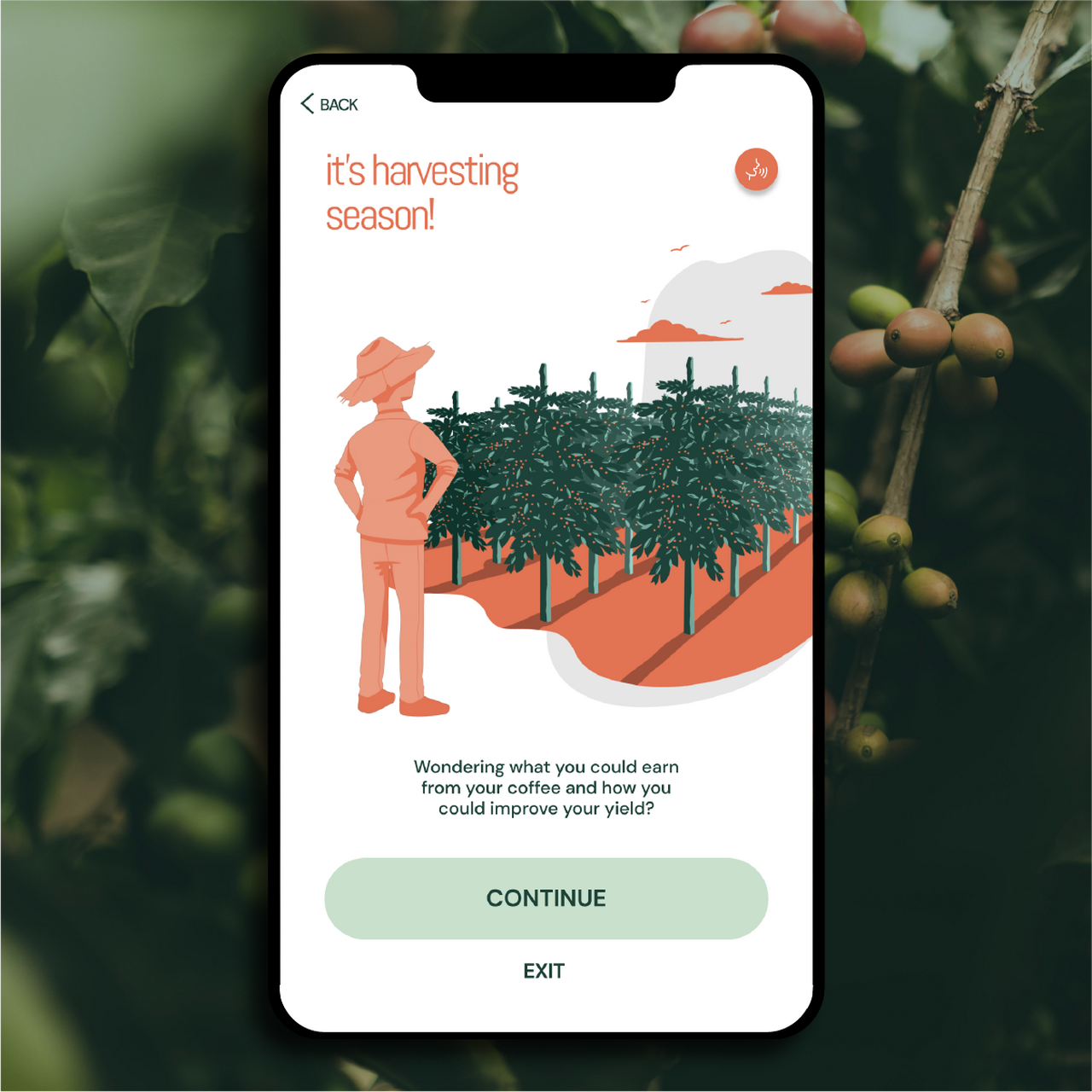 Finja | Project | IDEO.org